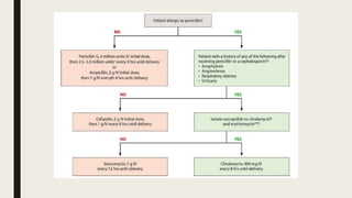 Neonatal sepsis protocols | PPTX