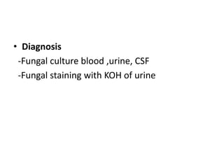 Neonatal sepsis in brief | PPTX