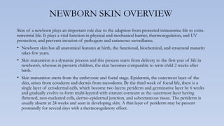Neonatal Skincare and Dermatoses: From Physiology to Clinical ...