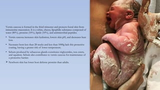 Neonatal Skincare and Dermatoses: From Physiology to Clinical ...
