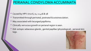 NEONATAL SKIN DISEASES 2.pdf