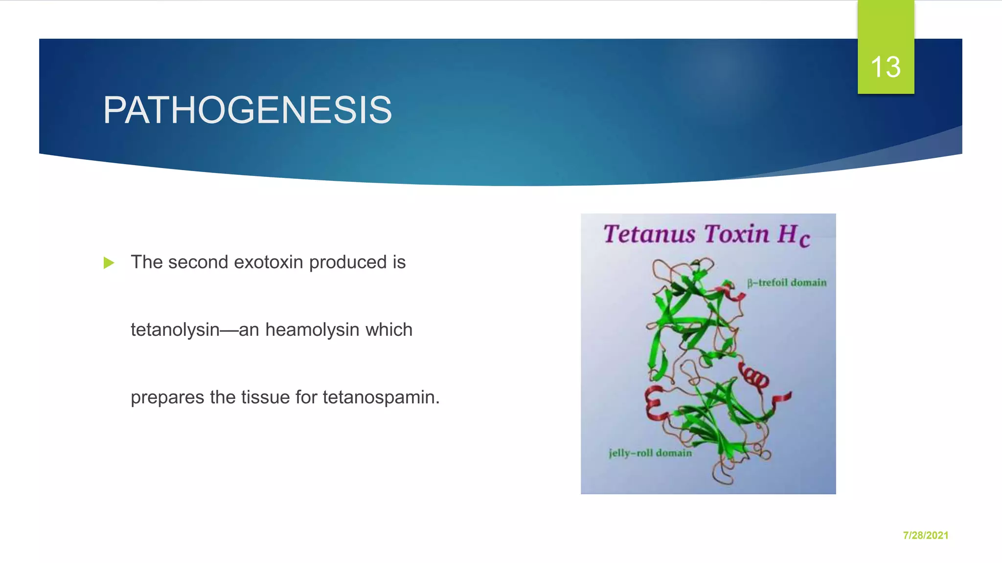 Neonatal tetanus | PPTX