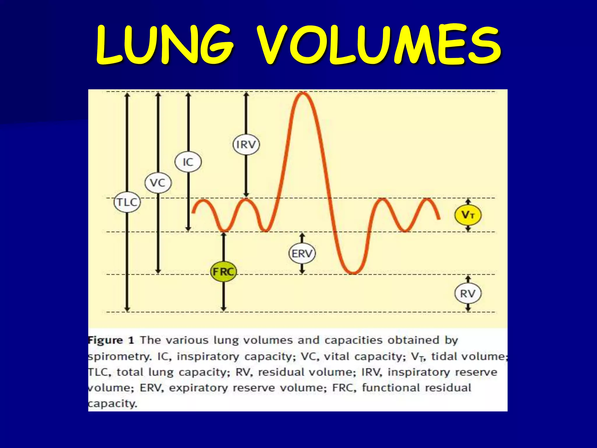 Neonatal ventilation | PPTX