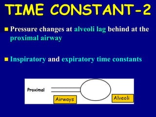 Neonatal ventilation | PPTX