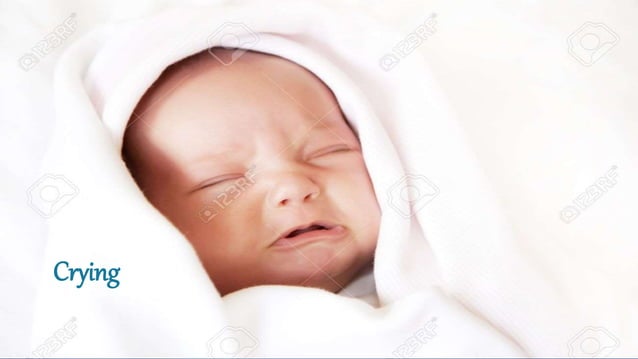 Neonate(Newborn baby) behaviors and activities | PPTX