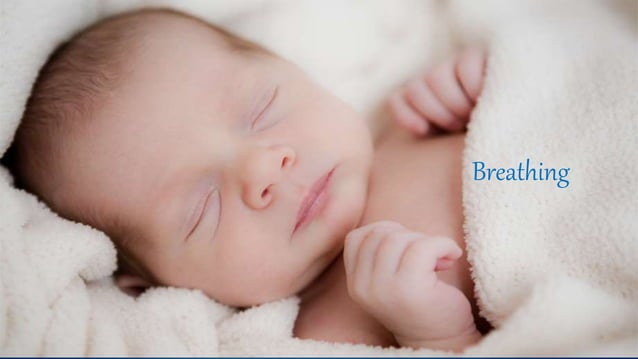 Neonate(Newborn baby) behaviors and activities | PPTX