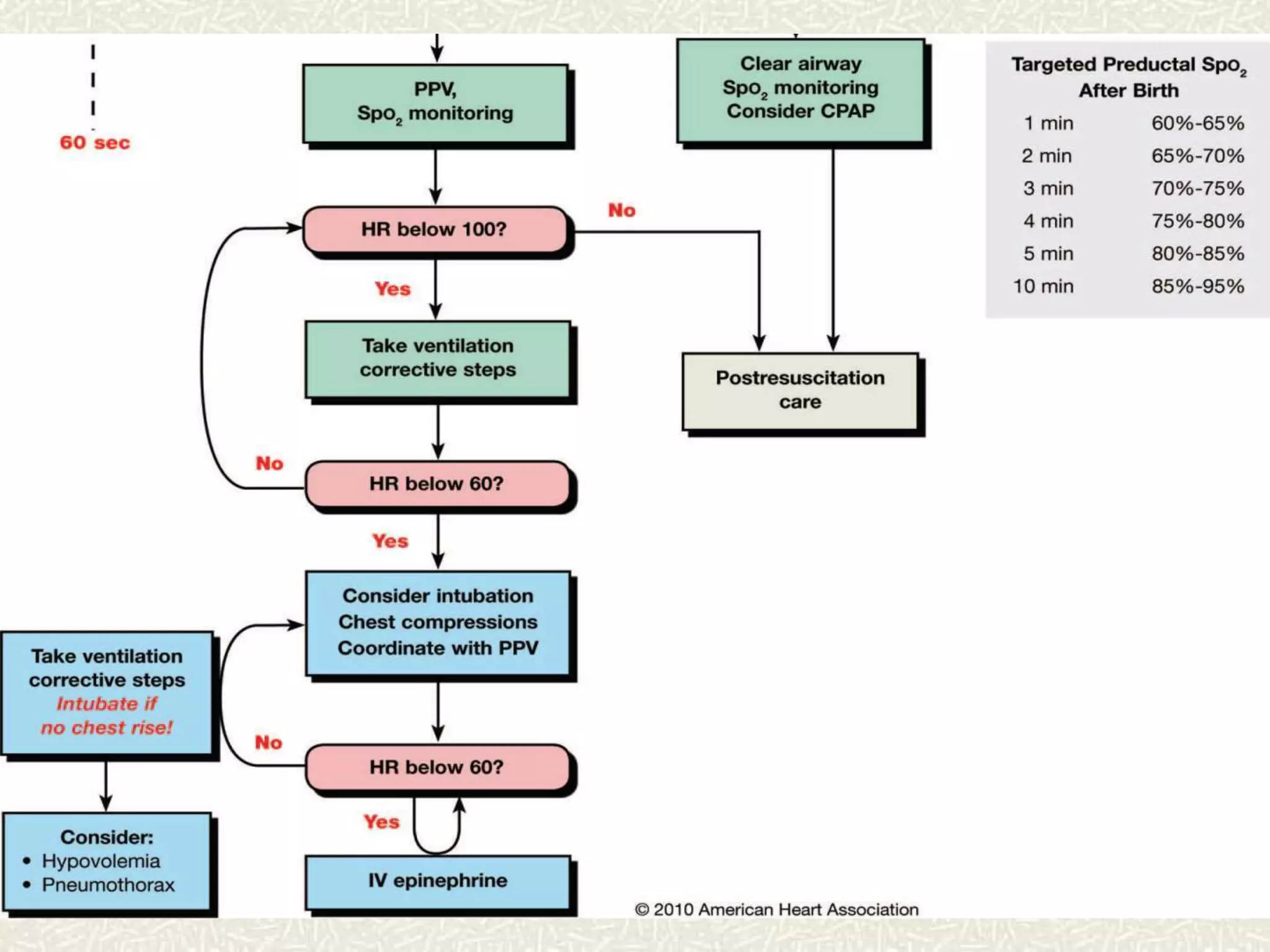 Neonate life support Resuscitation | PPTX