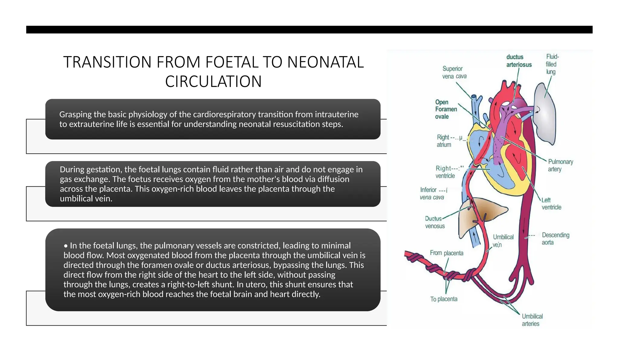 Essentials of Neonatal Resuscitation: NRP algorithm | PPTX