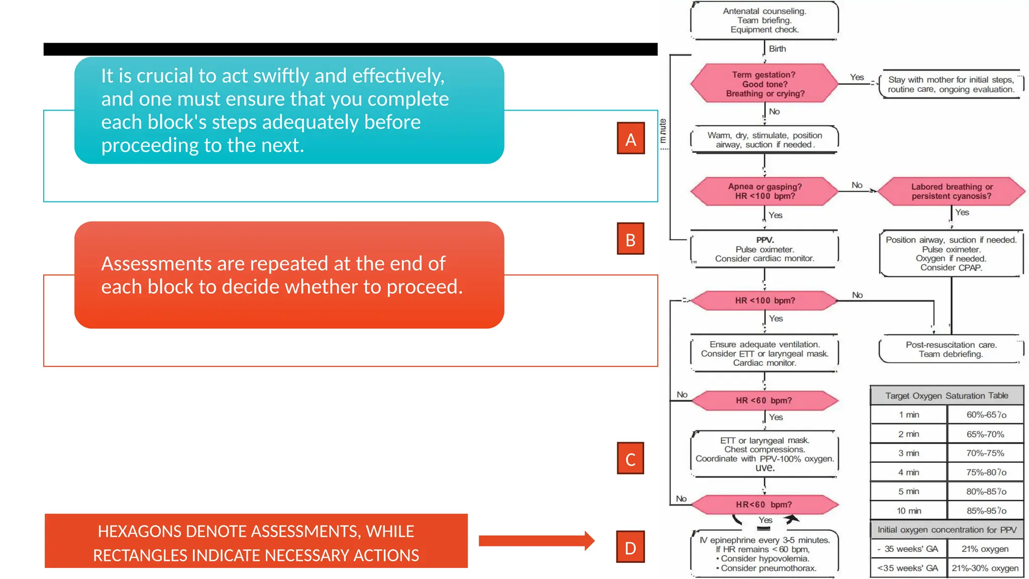 Essentials of Neonatal Resuscitation: NRP algorithm | PPTX