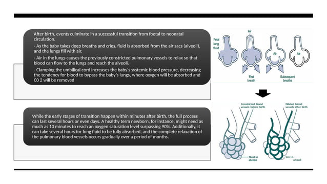 Essentials of Neonatal Resuscitation: NRP algorithm | PPTX