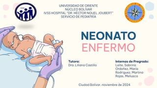 Neonato enfermo principales patologías y su manejo | PDF
