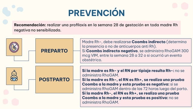Neonato enfermo principales patologías y su manejo | PPT