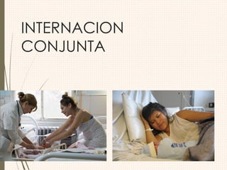 NEONATOLOGIA UCIN.pdf