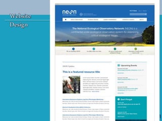 NEON Education | PPT