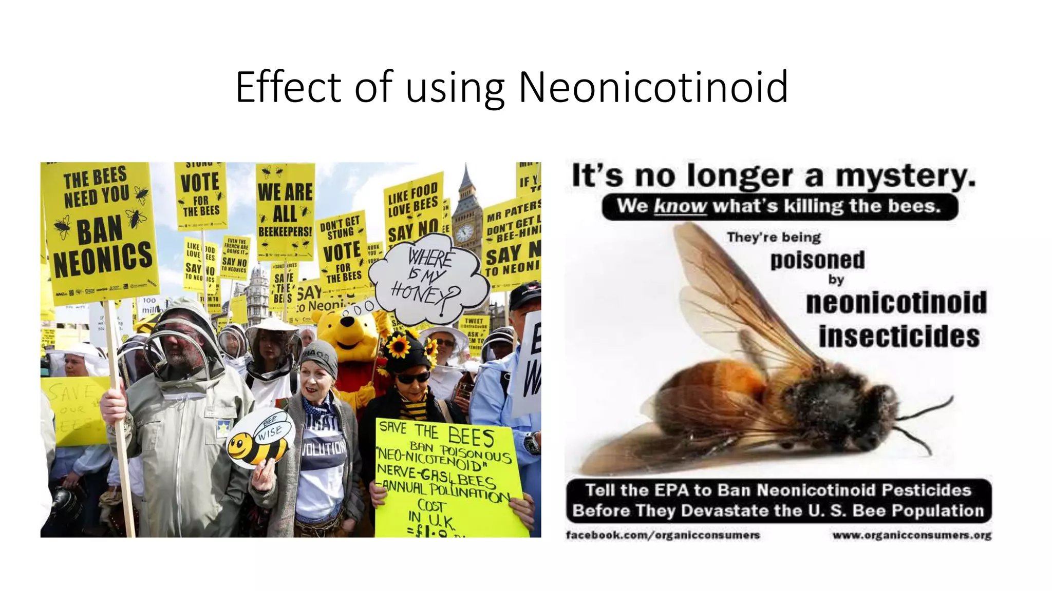 Neonicotinoid | PPTX