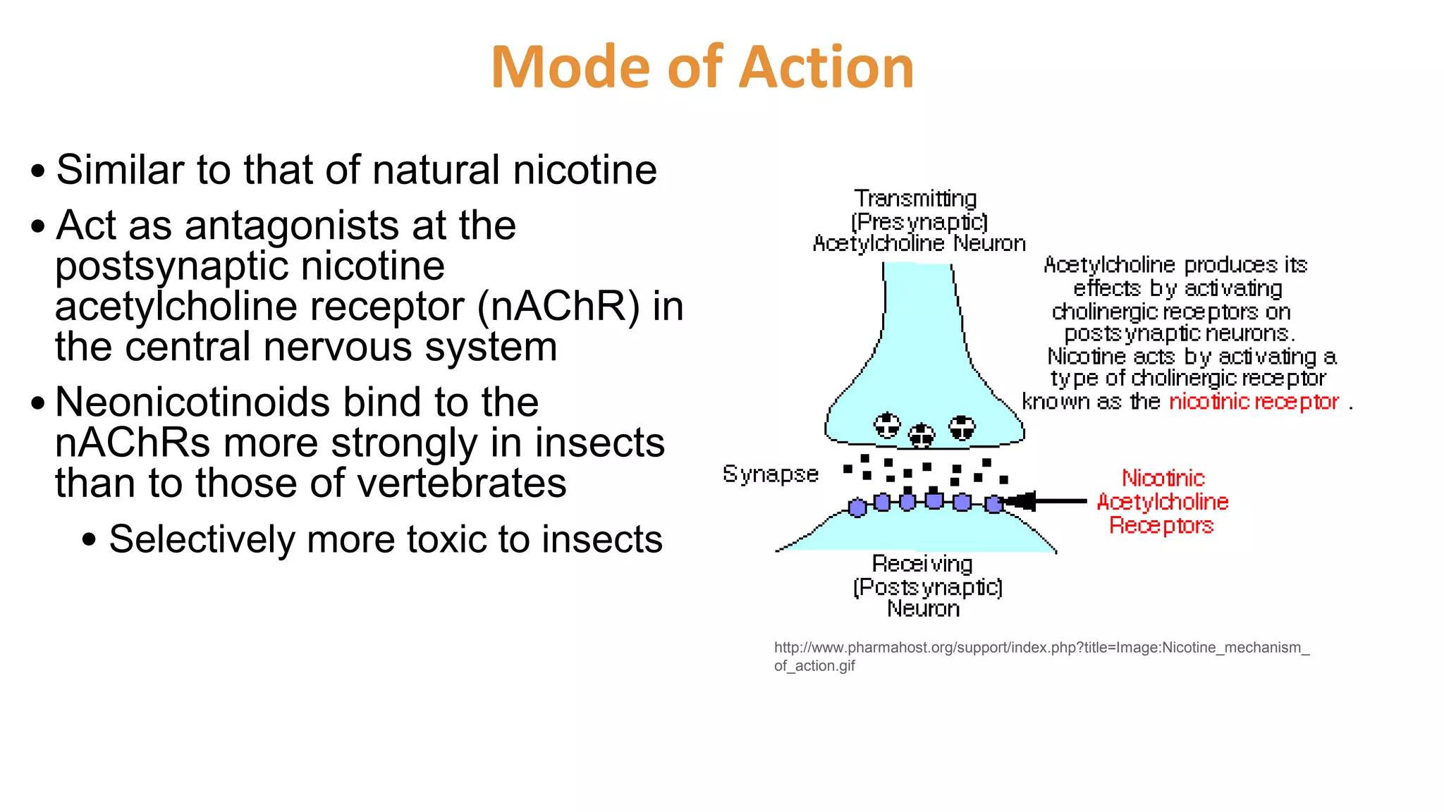 Neonicotinoids | PPTX