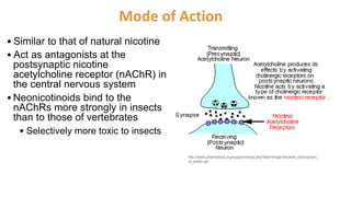 Neonicotinoids | PPTX