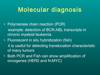Neoplasia diagnostic procedures | PPT