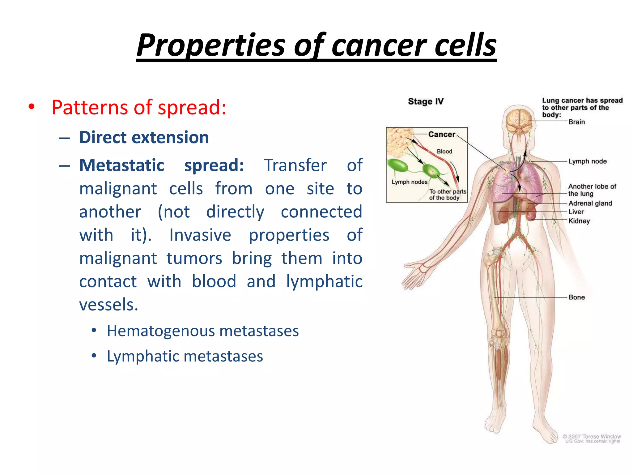 Neoplasia Characteristics and classification of cancer | PPTX