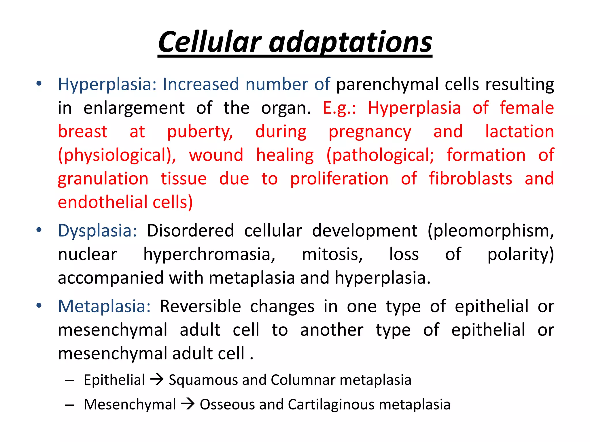 Neoplasia Characteristics and classification of cancer | PPTX