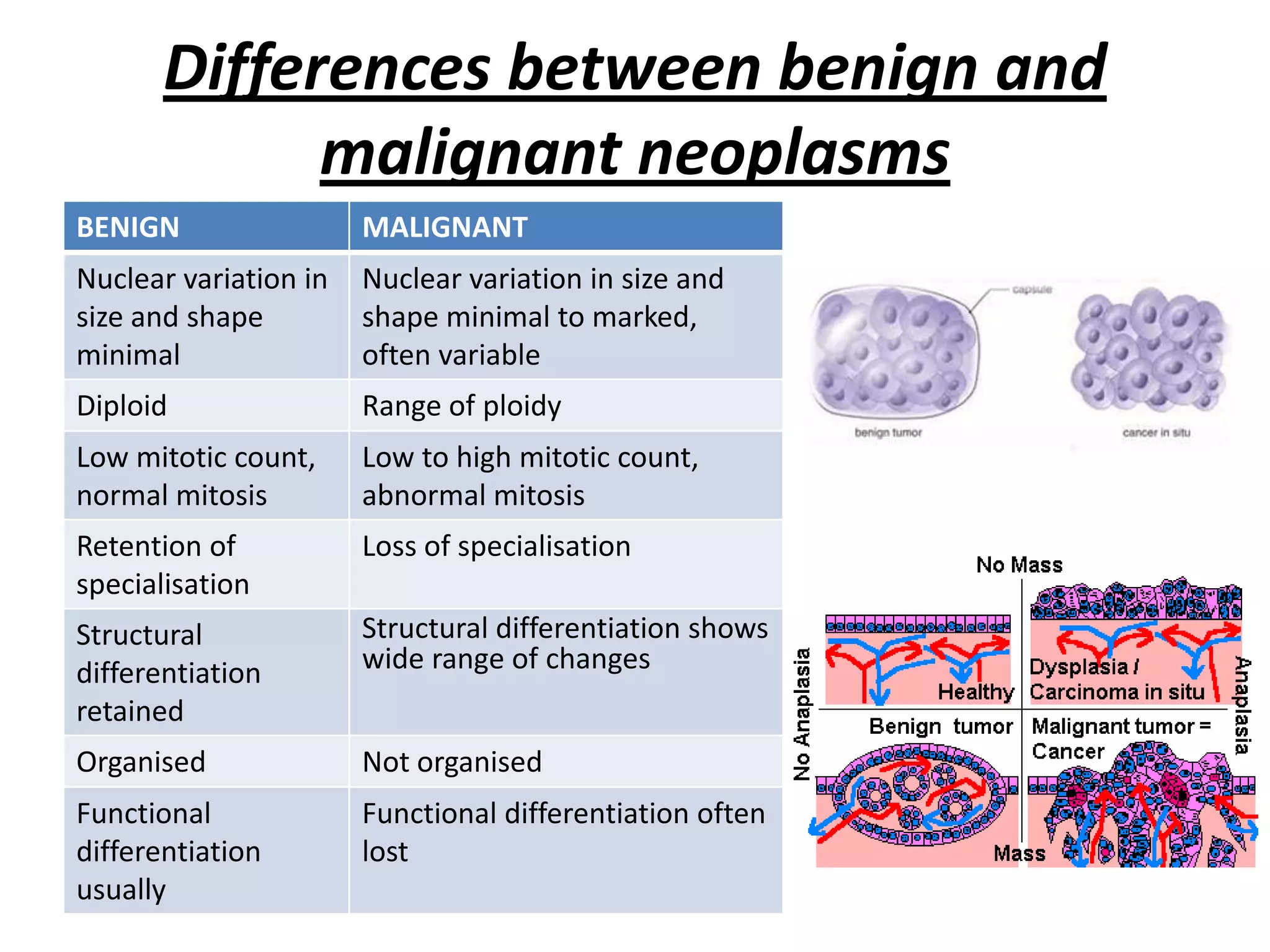 Neoplasia Characteristics and classification of cancer | PPTX