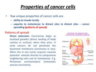 Neoplasia Characteristics and classification of cancer | PPTX