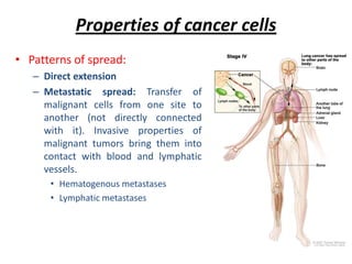 Neoplasia Characteristics and classification of cancer | PPTX