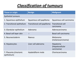 Neoplasia Characteristics and classification of cancer | PPTX
