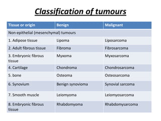 Neoplasia Characteristics and classification of cancer | PPTX