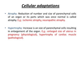 Neoplasia Characteristics and classification of cancer | PPTX