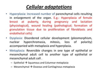 Neoplasia Characteristics and classification of cancer | PPTX