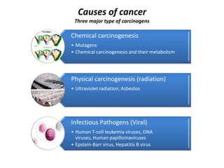 Neoplasia Characteristics and classification of cancer | PPTX