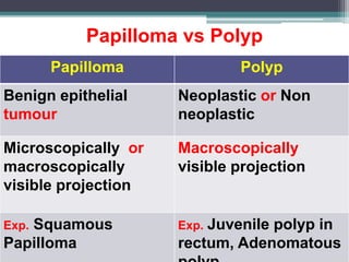 Neoplasia 1 | PPT
