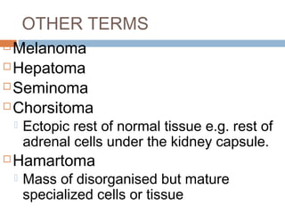 Neoplasia | PPT