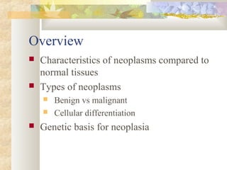 Neoplasia | PPT
