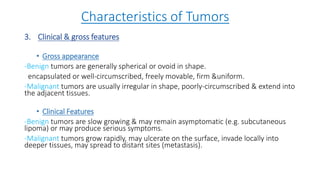 Neoplasia - Characteristics & Classification of Neoplasm | PPTX
