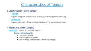 Neoplasia - Characteristics & Classification of Neoplasm | PPTX