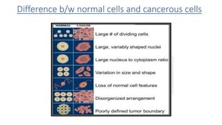 Neoplasia - Characteristics & Classification of Neoplasm | PPTX