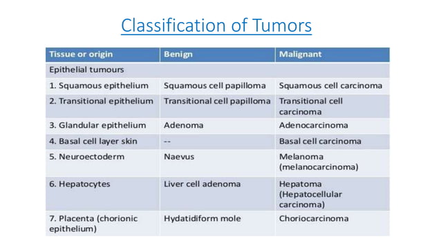 Neoplasia - Characteristics & Classification of Neoplasm | PPT | Free ...