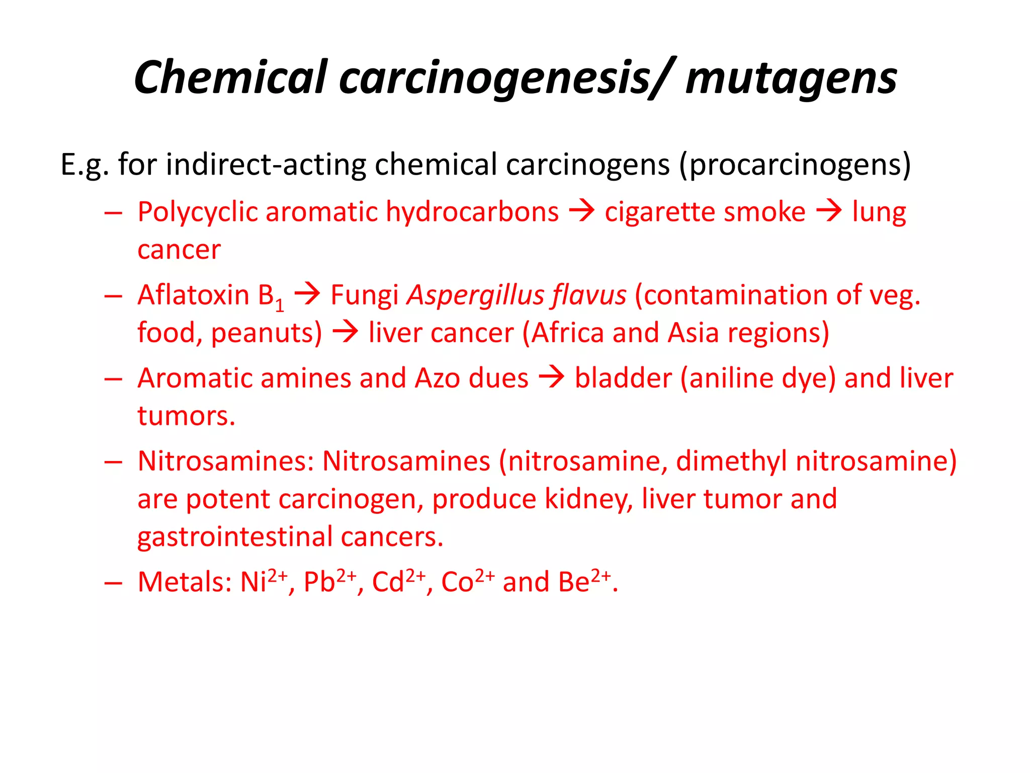 Neoplasia Etiology and pathogenesis of cancer | PPTX