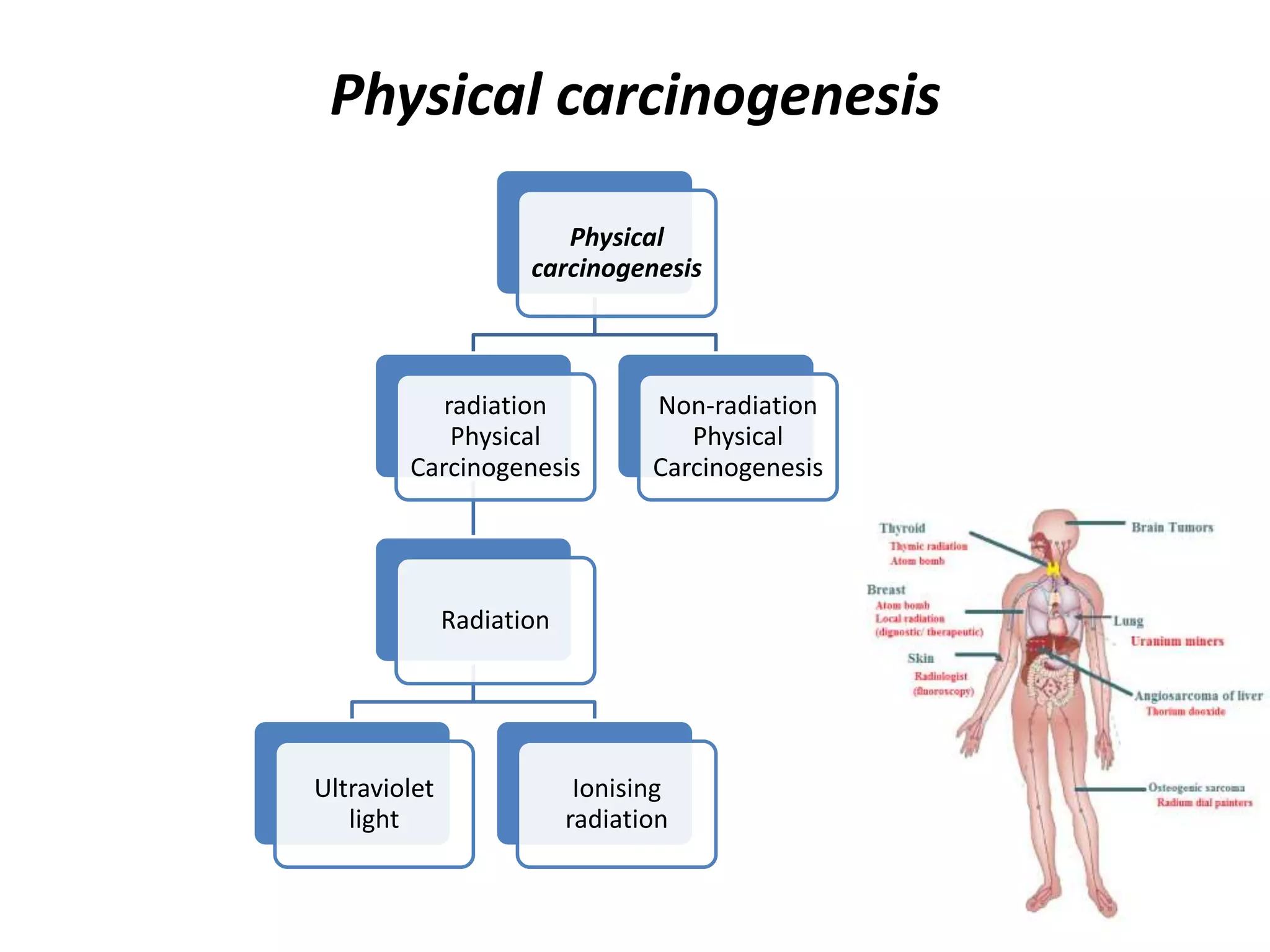 Neoplasia Etiology and pathogenesis of cancer | PPTX