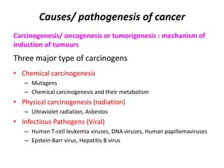 Neoplasia Etiology and pathogenesis of cancer | PPTX