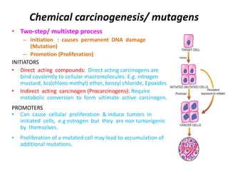 Neoplasia Etiology and pathogenesis of cancer | PPTX