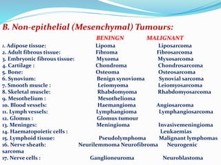 Neoplasia | PPTX | Cancer | Diseases and Conditions