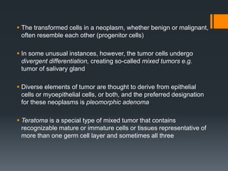 Neoplasia | PPTX | Cancer | Diseases and Conditions