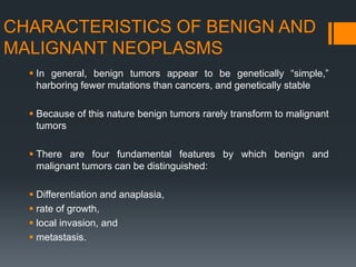 Neoplasia | PPTX | Cancer | Diseases and Conditions