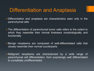 Neoplasia | PPT