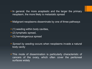 Neoplasia | PPT