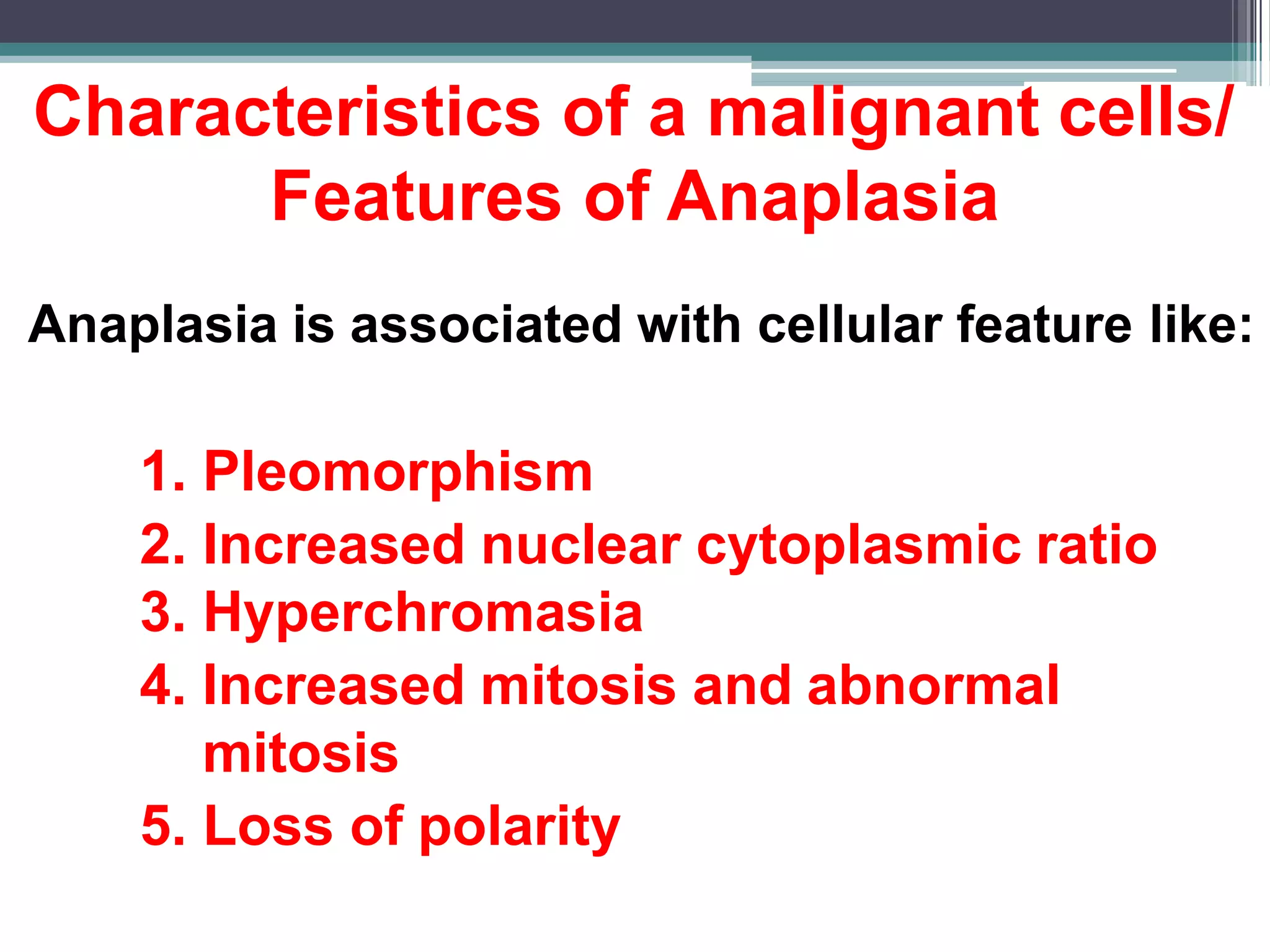 neoplasia.pptx