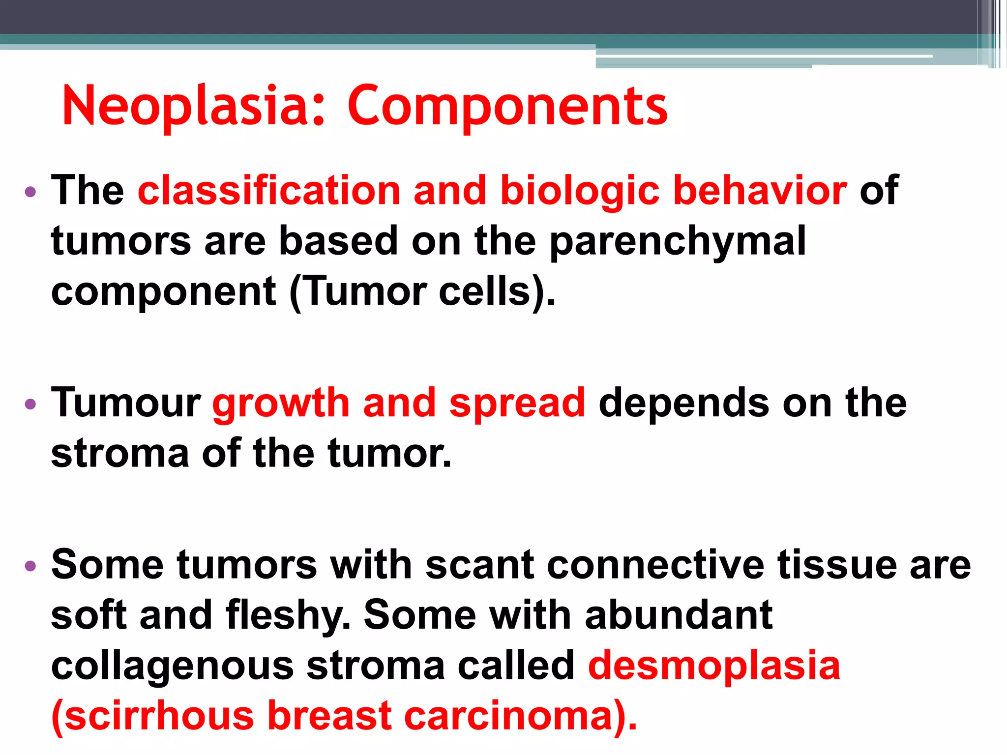 neoplasia.pptx